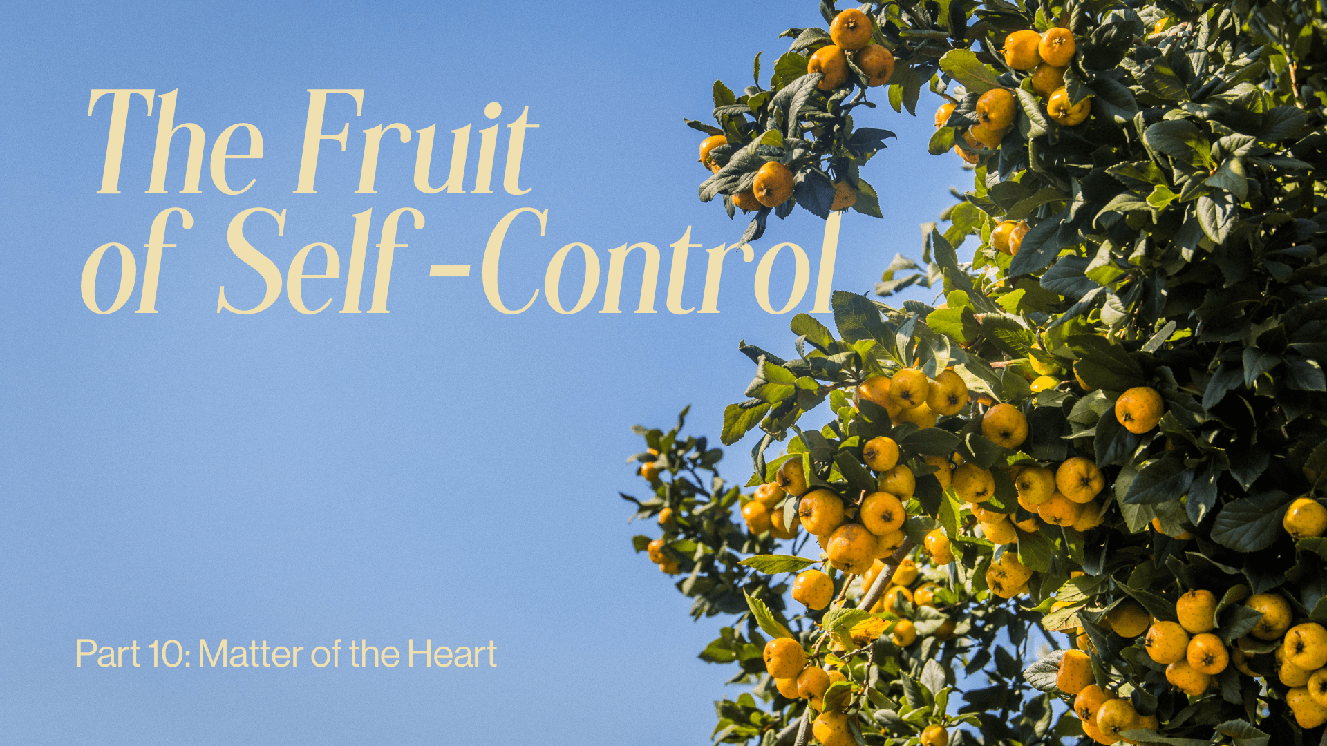 Part 10: Matters of the Heart | Positive Encouraging K-LOVE